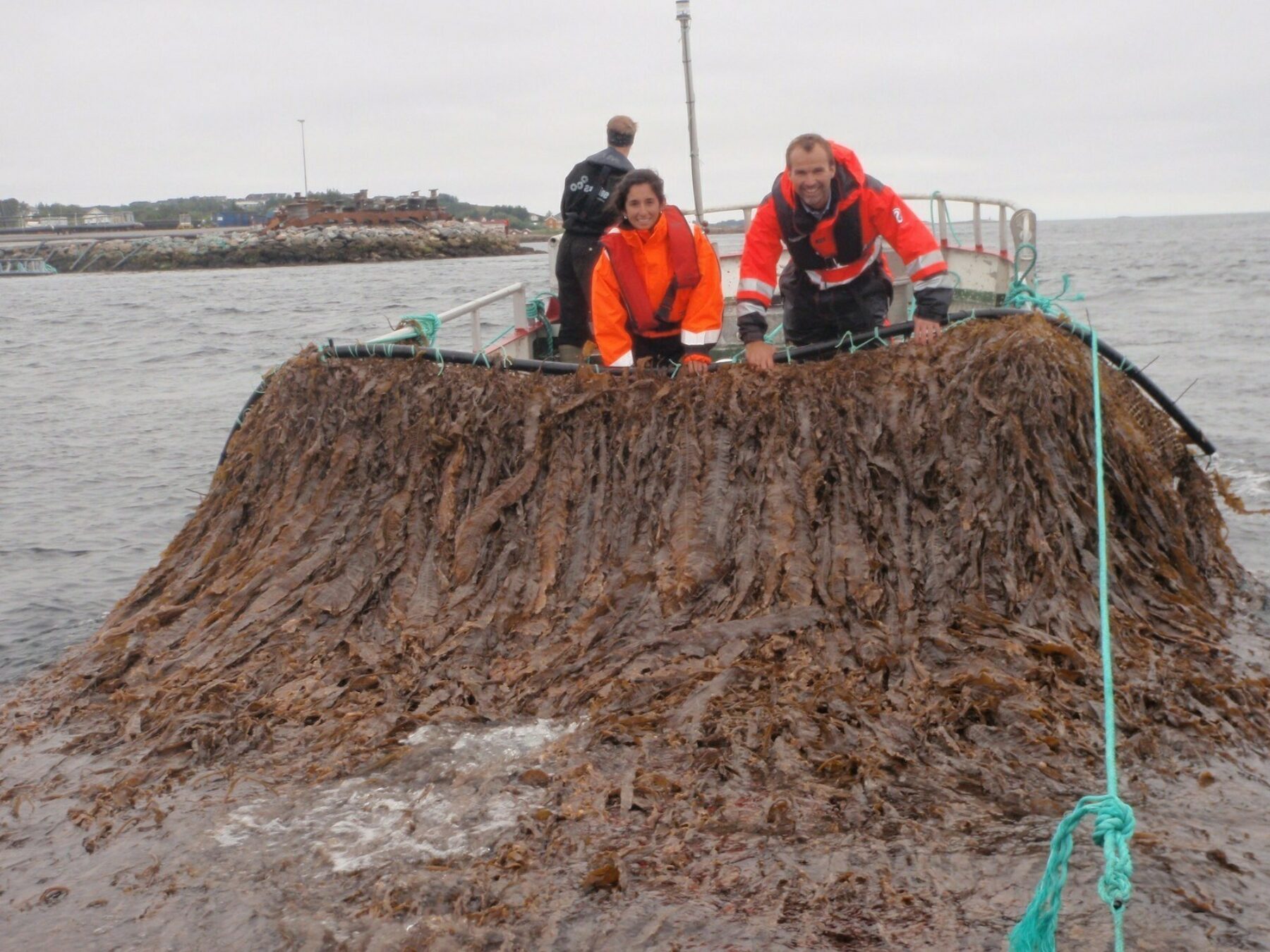 Our story — from exploration to specialization | Seaweed Solutions